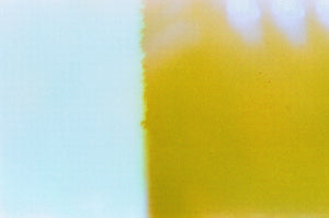 J&M Davidson Official Store